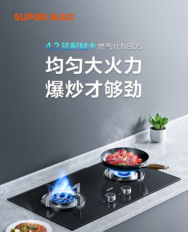 苏泊尔（SUPOR）燃气灶天然气双眼灶具台式嵌入式两用液化气灶家用节能炉具旋火蓝焰猛火一级能效熄火防护煤气灶 【高性价】4.2KW节能灶 ...