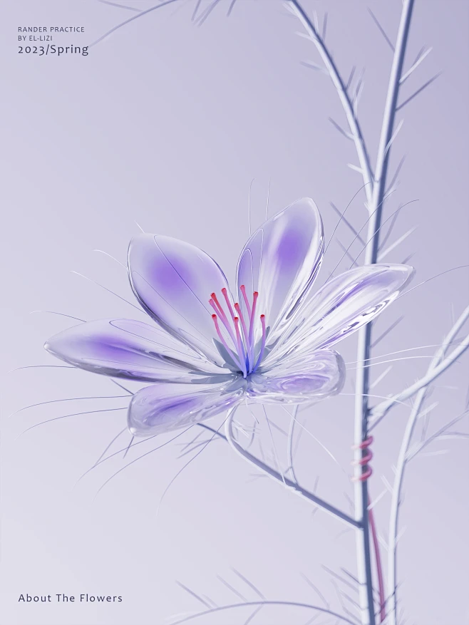 3D c4d cinema 4d flower octane Render (8)-花瓣网