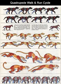 最新微博 - 首页 - 微博图片_汉子图片素材-花瓣网