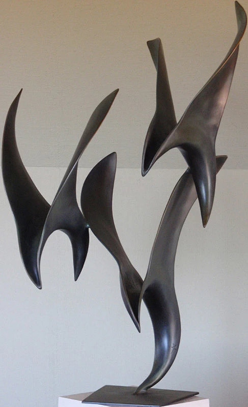 Shadow dance-花瓣网