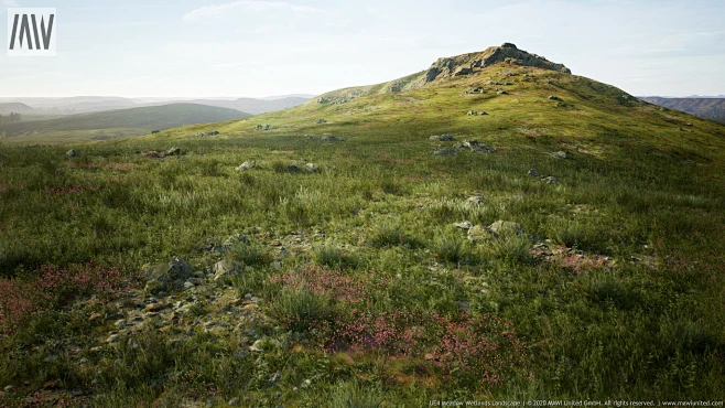 UE4 Meadow Wetland Landscape-花瓣网