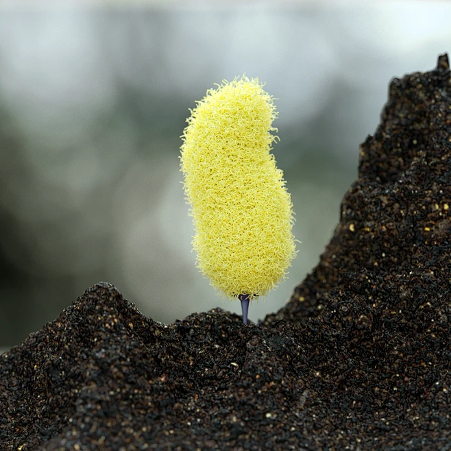 Micro Macro Series : Micro Macro Series-花瓣网