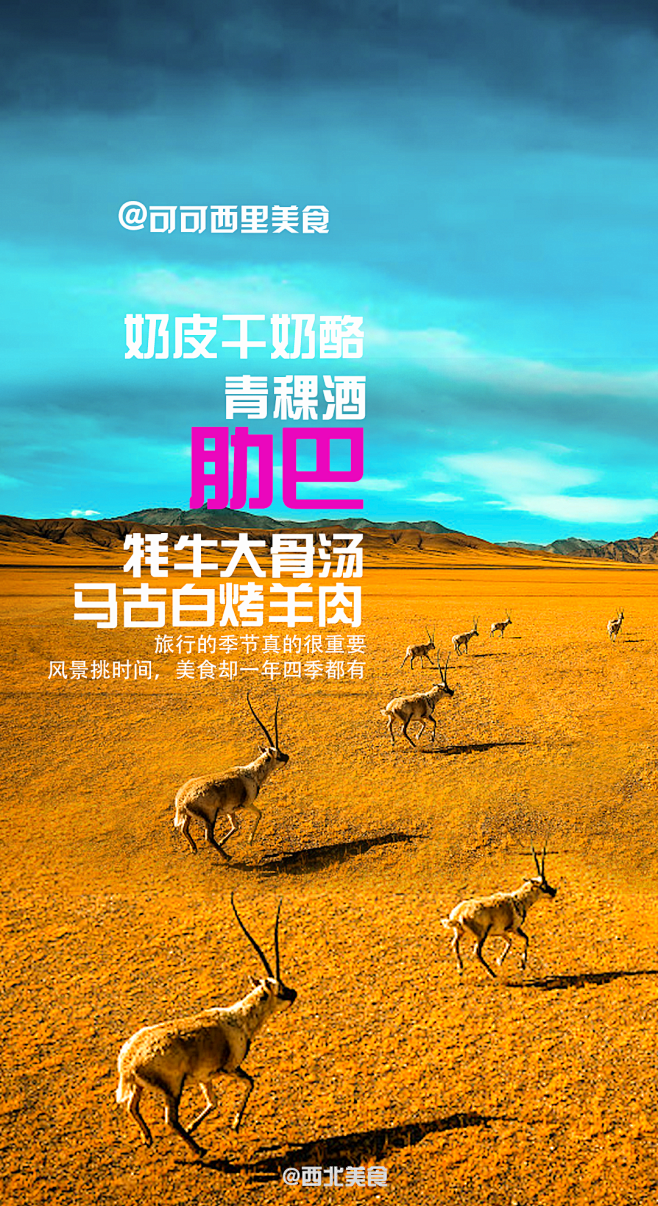 可可西里