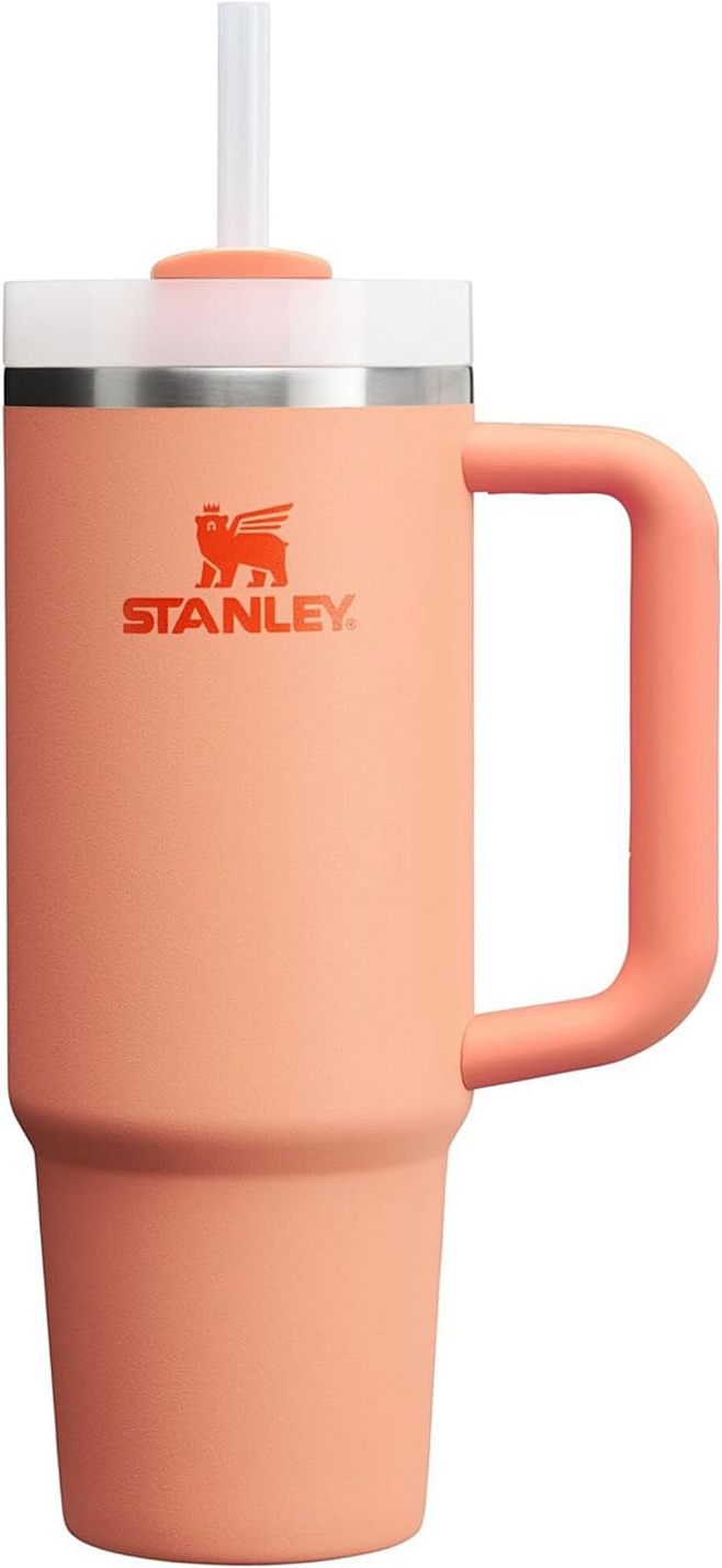 STANLEY Nectarine Quencher H2.0 FlowState 不锈钢真空保温杯带盖和吸管,适用于水、冰茶或咖啡 ...