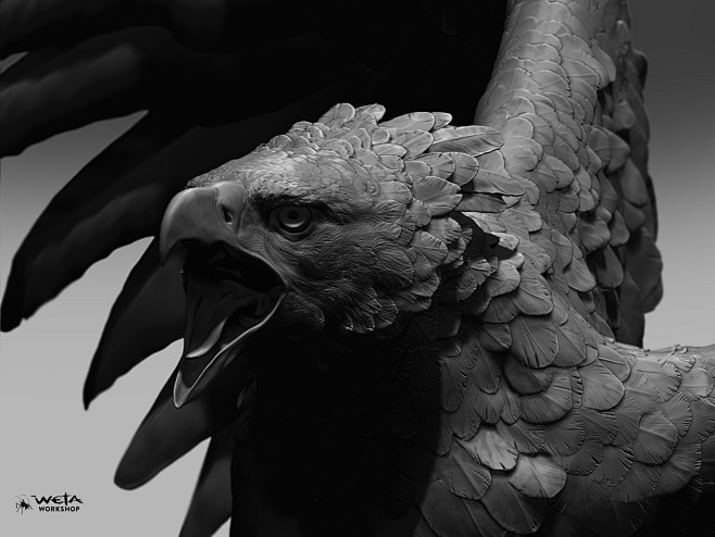 Haast Eagle, Daniel Cockersell : Here are some quick ZBrush renders of ...