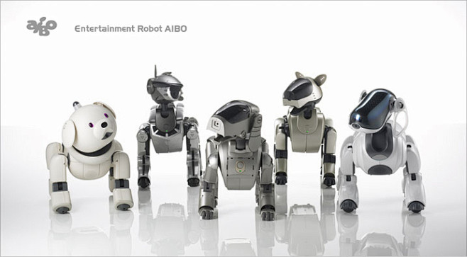 点名时间 - SONY AIBO 机器宠物狗