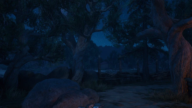 Days Gone 2025_5_3 23_31_49-花瓣网