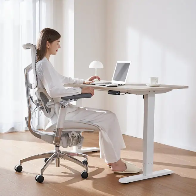 Ergonomic Duo (Sihoo Doro S300 + Sihoo D03) - Official US Sihoo Store-花瓣网