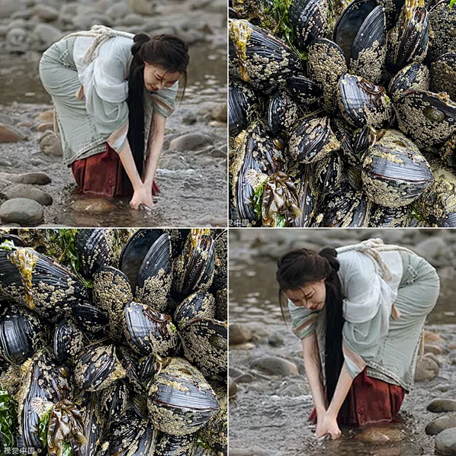 广告素材搜索 - AppGrowing - 有米云-花瓣网