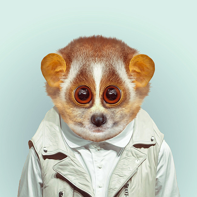 巴塞罗那摄影师 Yago Partal－动物园肖像。头像。另类。个性。