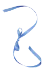 Asset 55-花瓣网