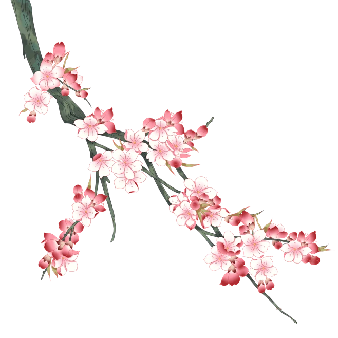 dcfc1aa8be2b434aa4b6f87d6b5331a7~noop.image (3508×3508)-花瓣网