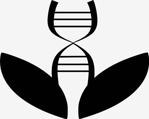 转基因生物工程生物学图标_88ICON https://88icon.com 转基因 生物工程 生物学 生物医学 dna 遗传学 植物-花瓣网