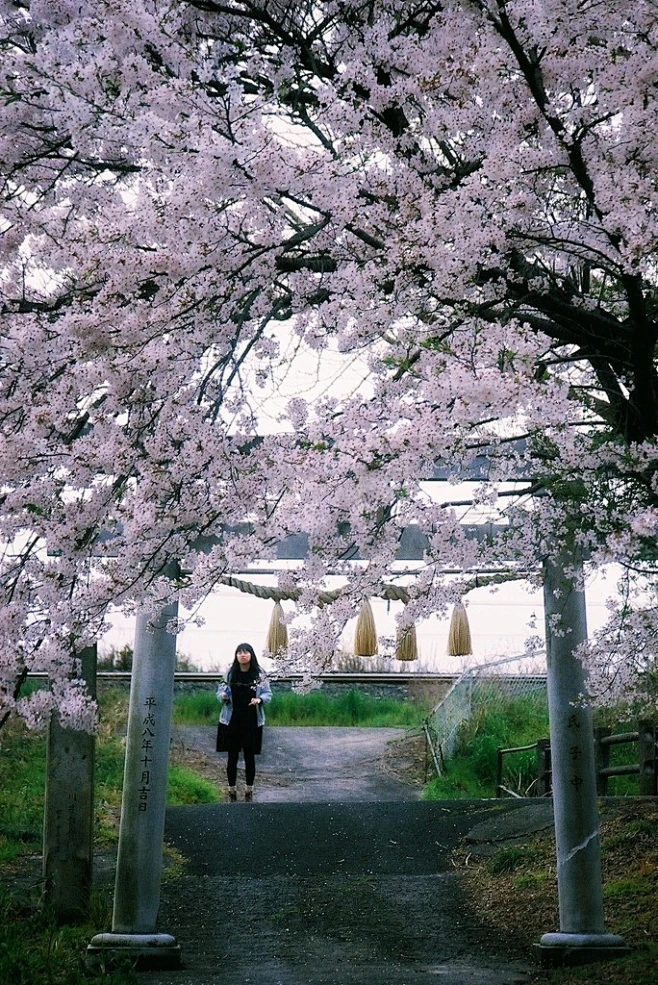 This is 日本 » s-ousha: by はいせんち : s-ousha: “ “by はいせんち ” ”-花瓣网