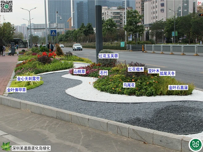 交通岛、道路、花境：深圳道路渠化岛绿化(2022年1月)-花瓣网
