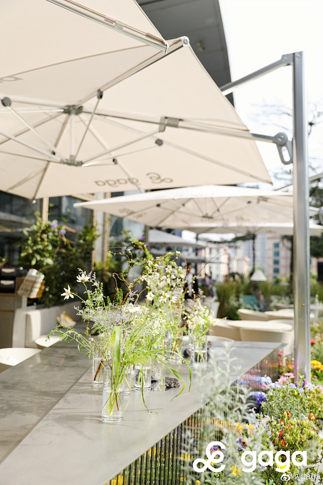 全国第三家gaga central grand opening #gaga广州太古汇旗舰# 12月12日 今天正式开幕 #gaga[超话 ...