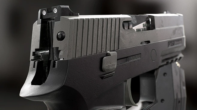 SIG P250, Tim Bergholz | ChamferZone.com : This weapon among many others are up for sale on the ...
