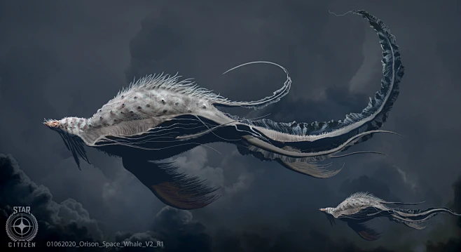 Space Whales 2-花瓣网