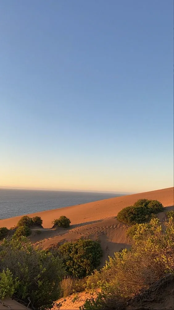 (39) Pinterest-花瓣网