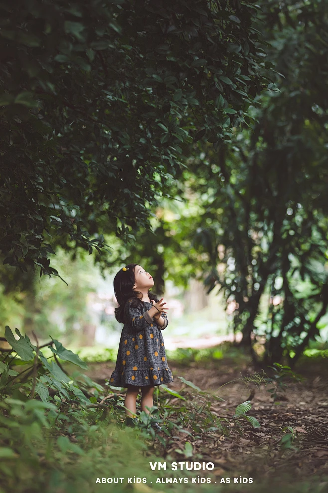 VM STUDIO -花瓣网