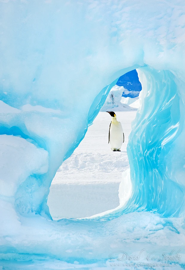 Photograph I've been framed! by David C. Schultz on 500px #采集大赛#-花瓣网