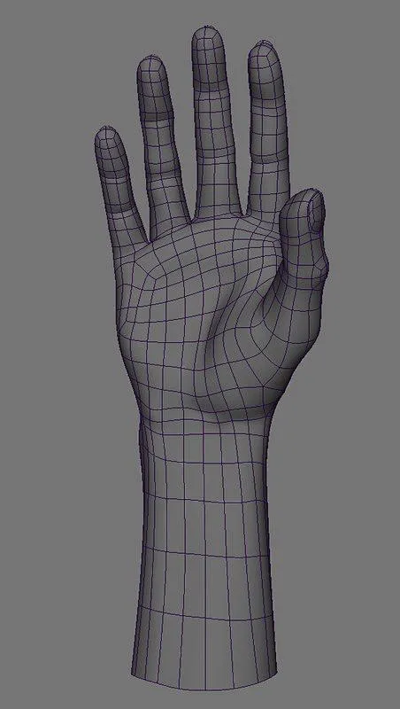 Zbrush hand #zbrush & zbrush hand & main zbrush & zbrush hand & zbrush ...