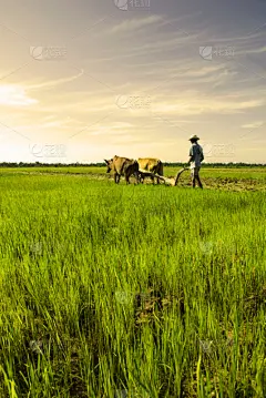 (623) Pinterest-花瓣网