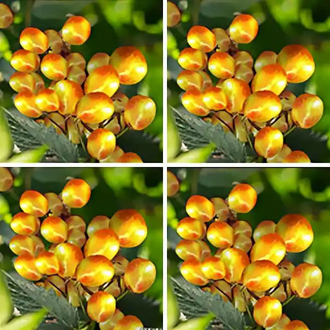 图片_古装**剧情**图片素材-花瓣网