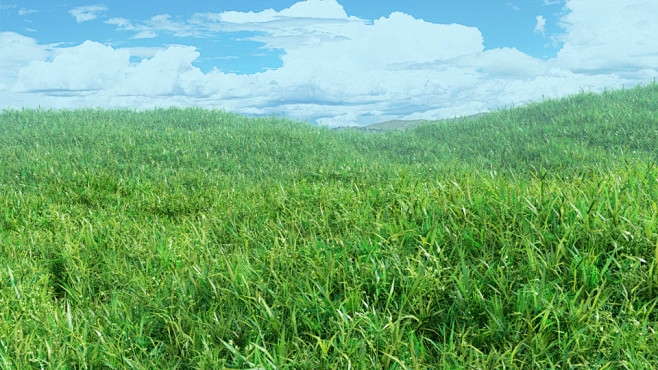 vedran-popovic-grass-render
