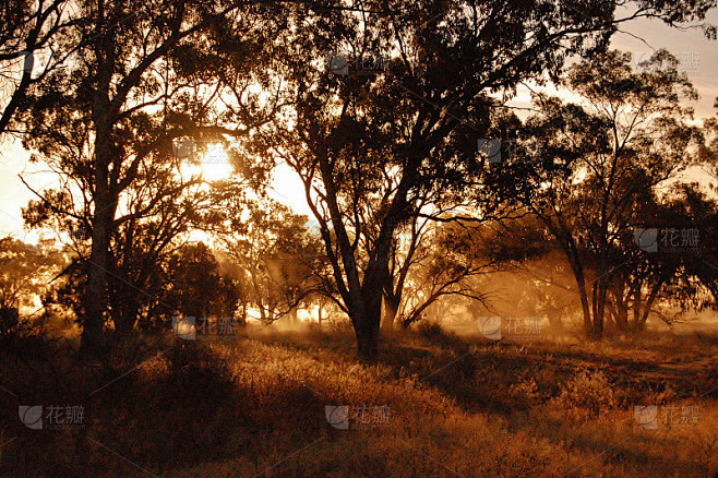 尘土飞扬的黄昏