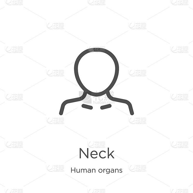 neck icon vector from human organs collection. Thi