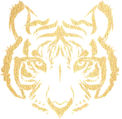 png素材图片大全-png素材高清好看的图片--花瓣伊洛1101的画板