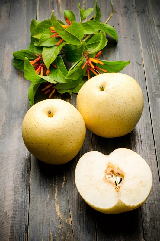 Asian pear-花瓣网