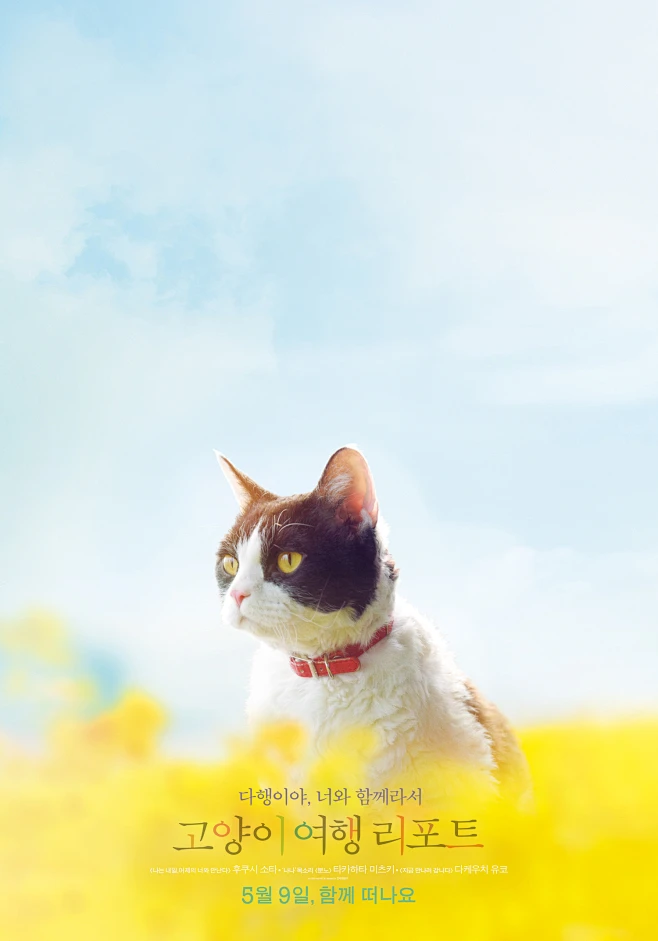 cat-002.jpg-花瓣网