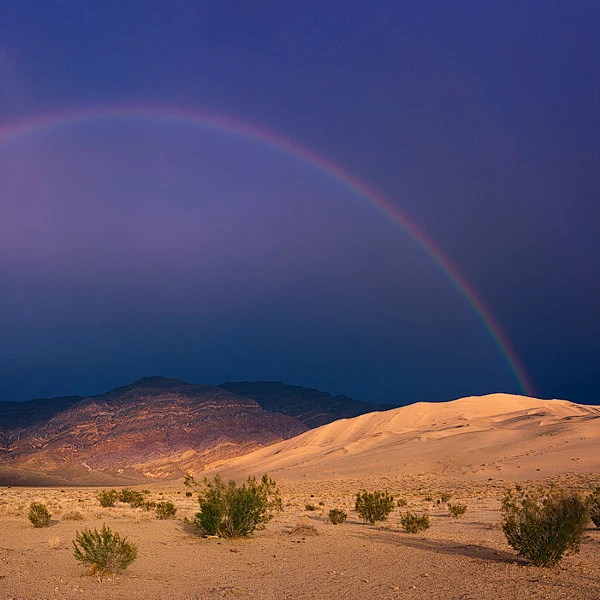 Flow / 500px-花瓣网