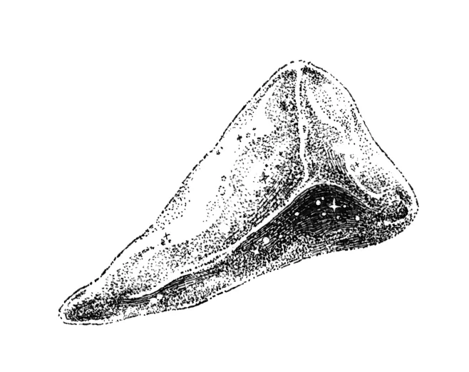 Drawing ,ink,light,pen,twinkle-花瓣网