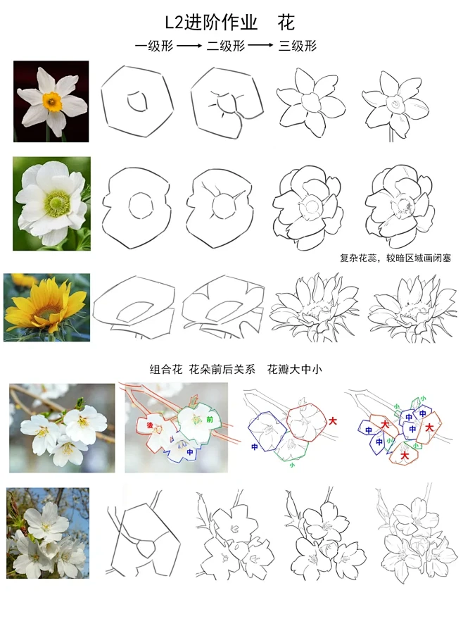 Krenz_k大动态与构成课_笔记与心得L2_9_林在绘_来自小红书网页版 (1)-花瓣网