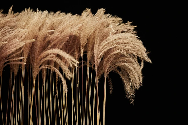 010-juyu-spa-china-by-shanghai-hip-pop-design-team.jpg (1700×1133)-花瓣网