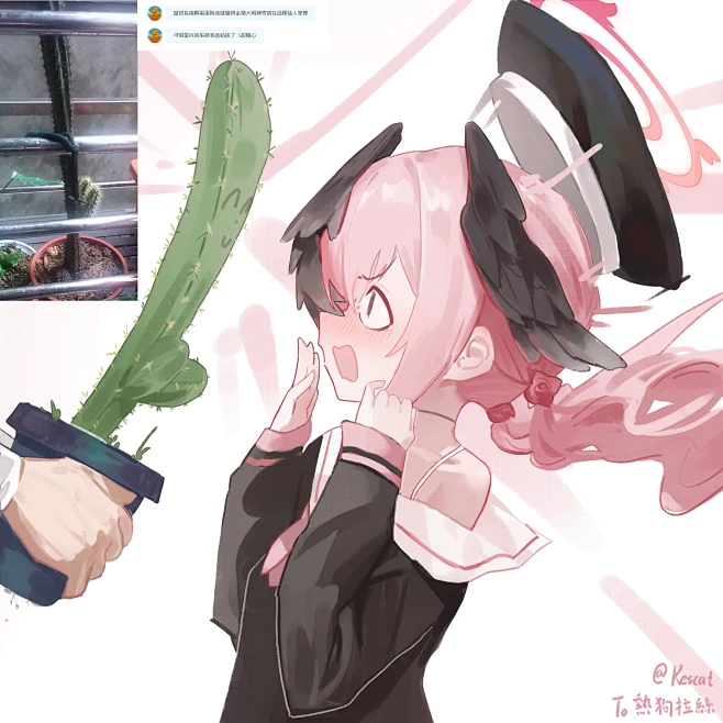 Rescat_的动态 - 哔哩哔哩-花瓣网