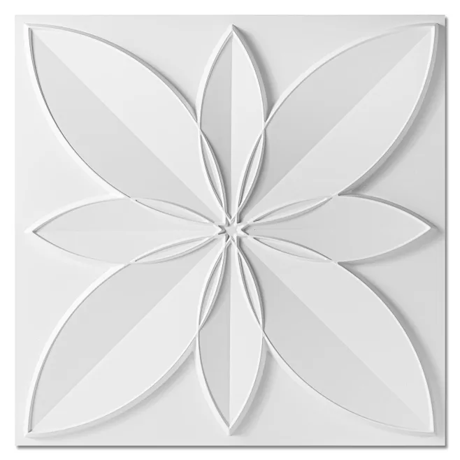 WOWSTAR 12-Pack 24&34x24&34 Drop Ceiling Tiles, Waterproof Glue Up ...