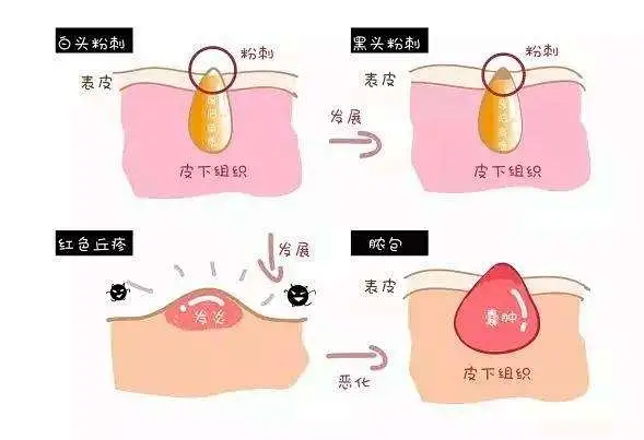 点击查看源网页-花瓣网