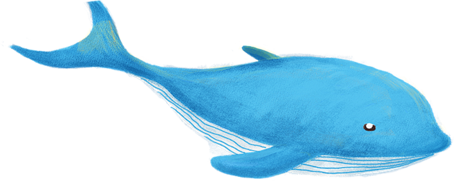 鱼，海洋，海豚 更多收集跳转：https://huaban.com/ayu1022/