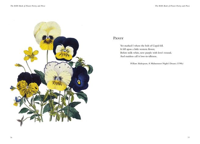 Flower Poetry(1)_34