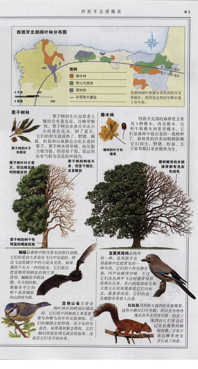 P_页面_082-花瓣网