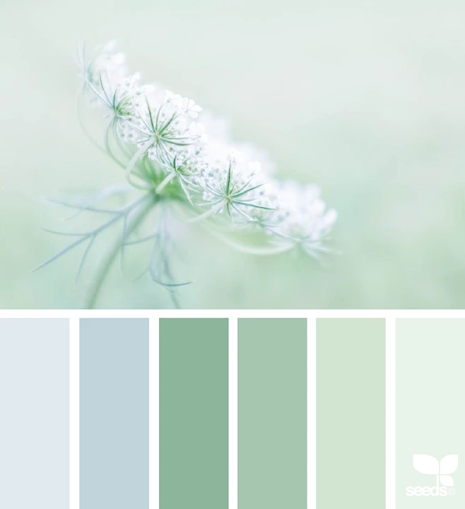 color nature-花瓣网