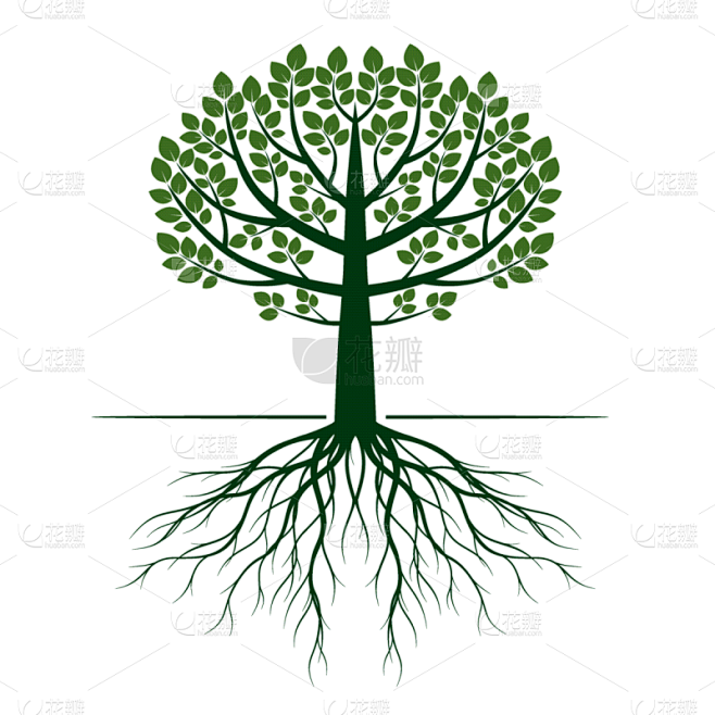 green tree with leaves and roots outline