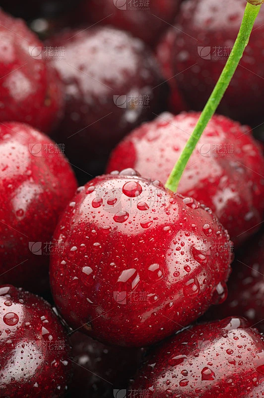 湿樱桃特写素材-花瓣网