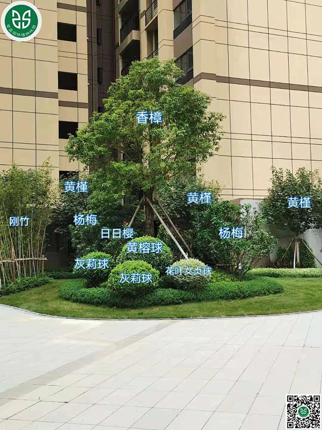 ca1526f1-f485-42c0-b10b-ebe84c4aeb7d.jpg-花瓣网