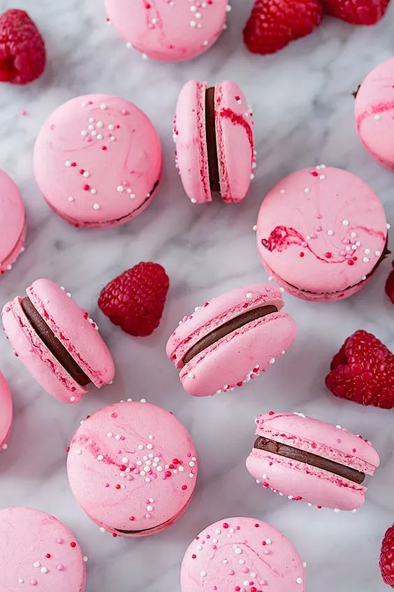 chocolate-raspberry-macarons-花瓣网