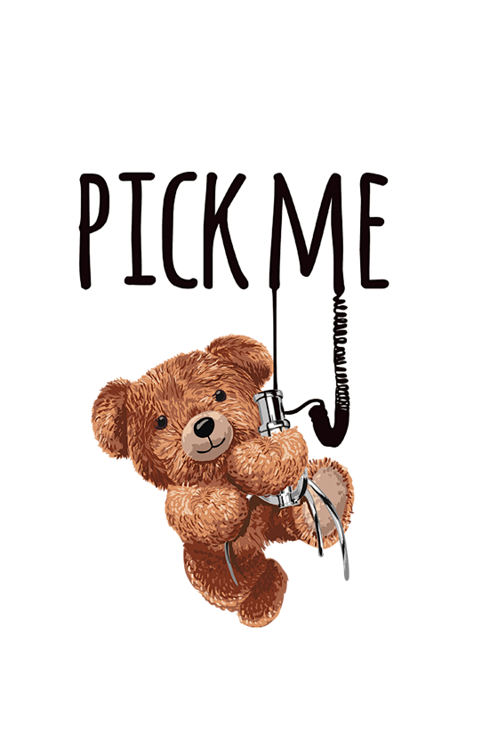 pick me Bear